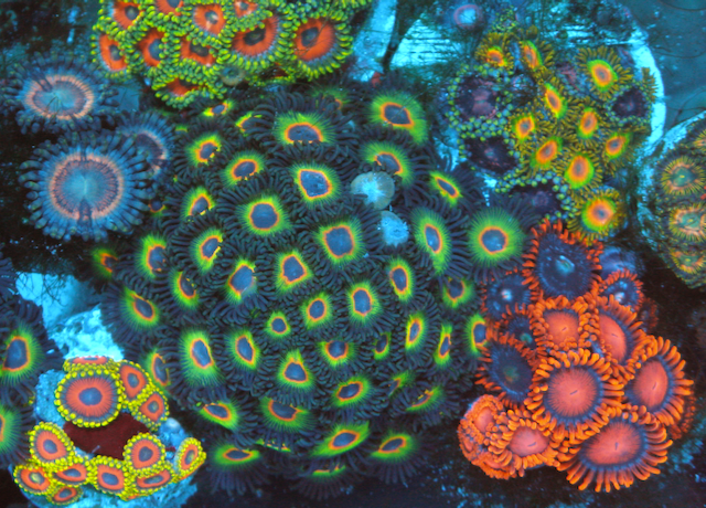 P1010278_08a5ca57-f22f-4eb3-a635-adf5f41565f2.png?v=1751290944